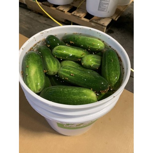 Epallet - Green (Half Sour) Pickles # 5, 50ct